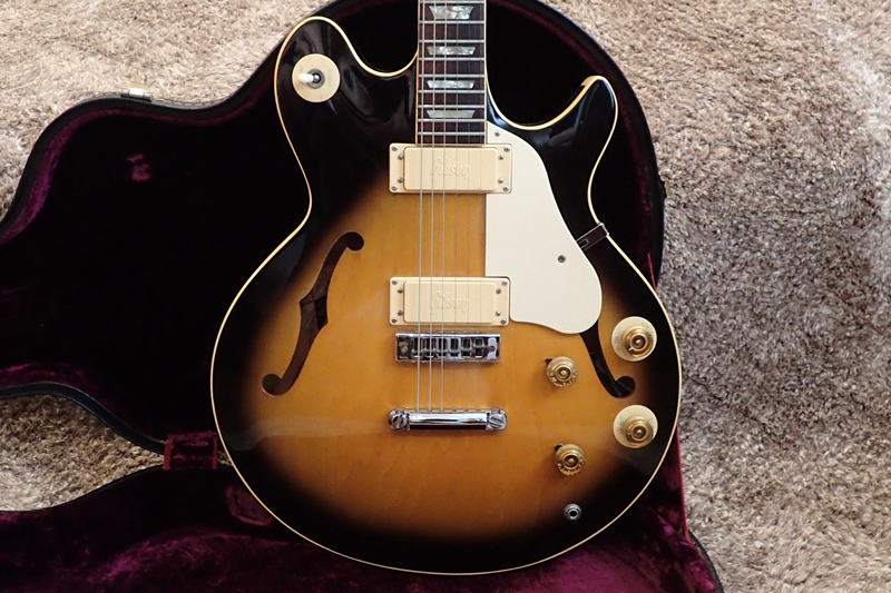 LesPaul Signature