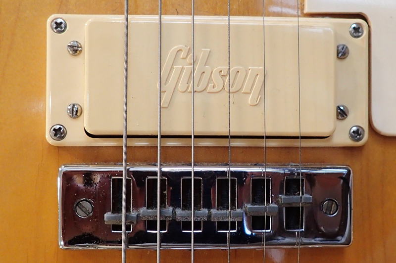 LesPaul Signature